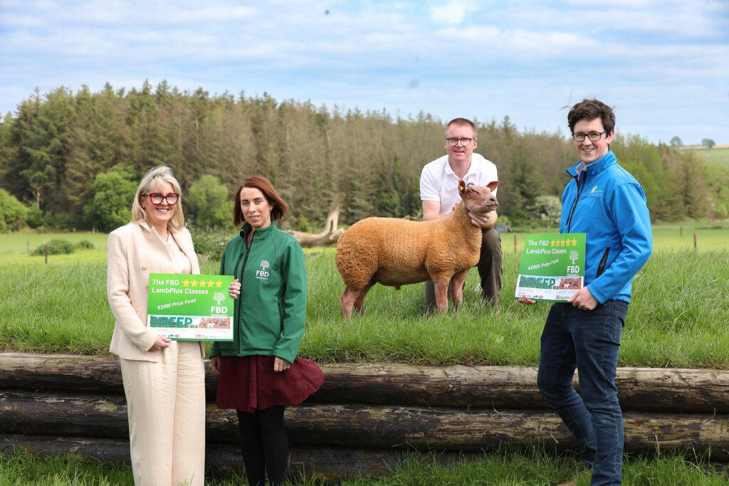 Home - Sheep Ireland