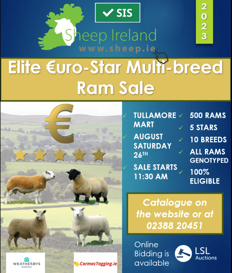 It's on this Saturday, August 26th! - Sheep Ireland Elite Multi-Breed €urostar Ram Sale ...