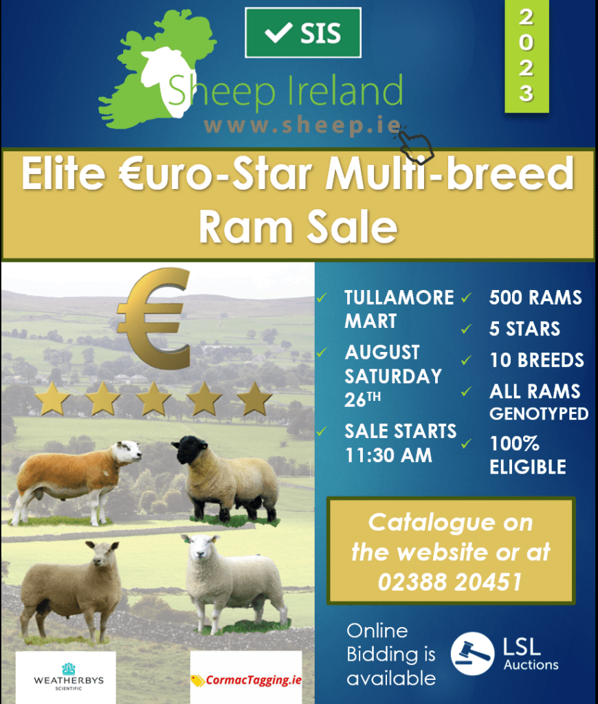 It's on this Saturday, August 26th! - Sheep Ireland Elite Multi-Breed ...