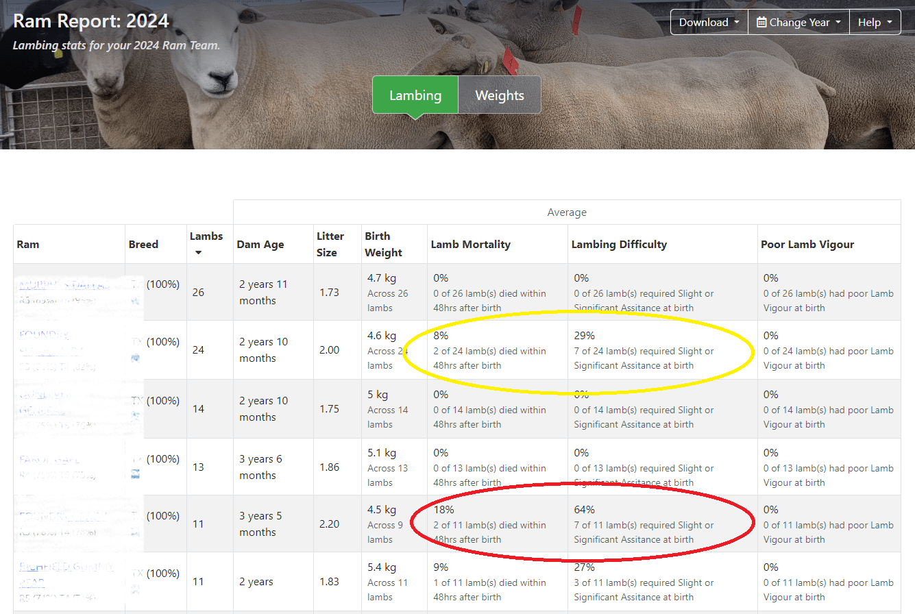 Why to use the Ram Report? - Sheep Ireland