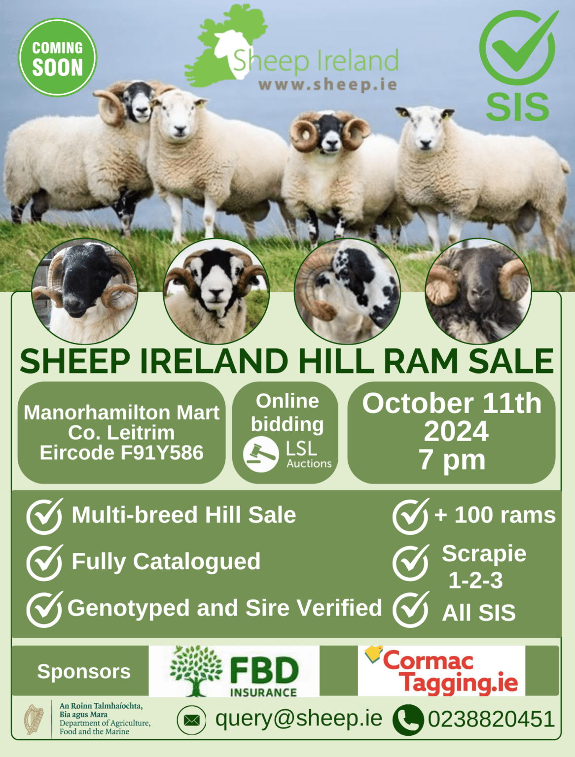 Sheep Ireland's first Multi-breed Hill Ram sale 2024 - Sheep Ireland