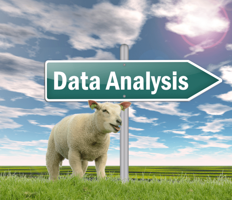 Home - Sheep Ireland