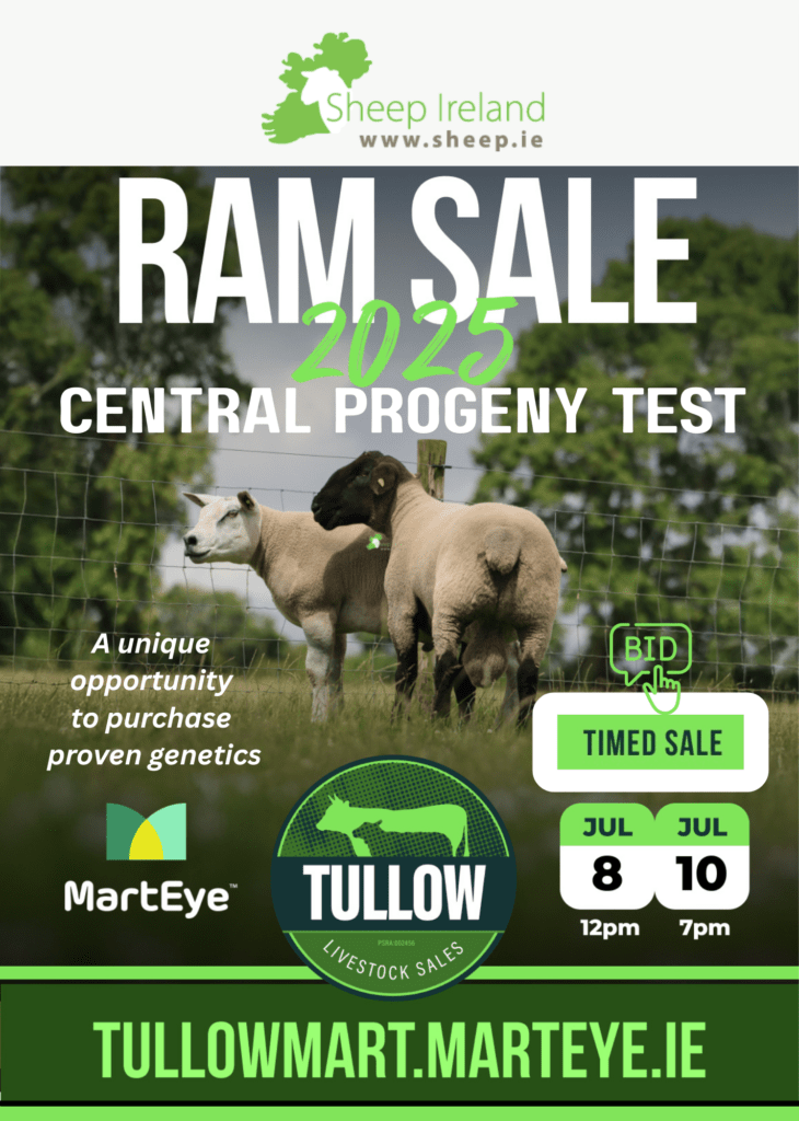 CPT Ram Sale 2025 is now Live - Sheep Ireland