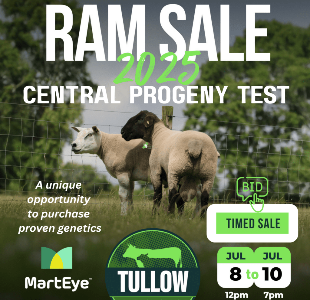 CPT Ram Sale 2025 taking place from July 8th to 10th - Sheep Ireland