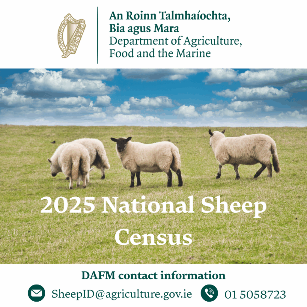 DAFM communication: 2025 National Sheep Census Deadline - Sheep Ireland