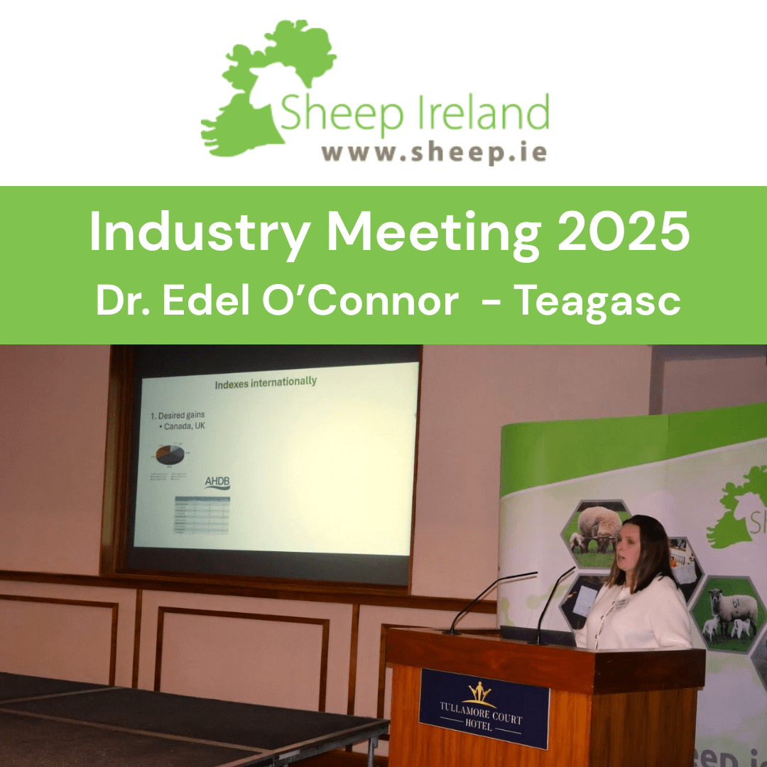 Sheep Ireland Industry Meeting – Updating the Economic Values - Sheep ...
